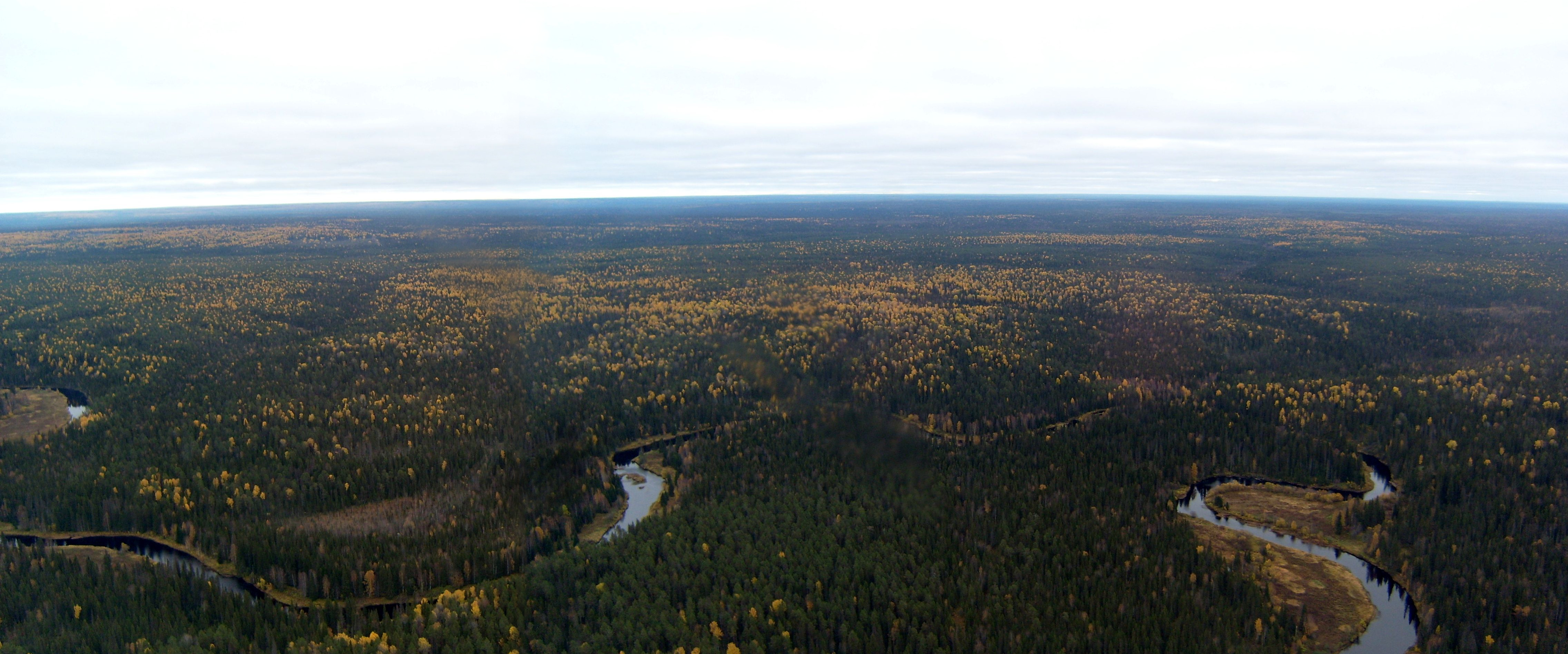 arkh_5.jpg | fsc.org