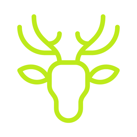 FSC Friday 2020 deer colour | fsc.org