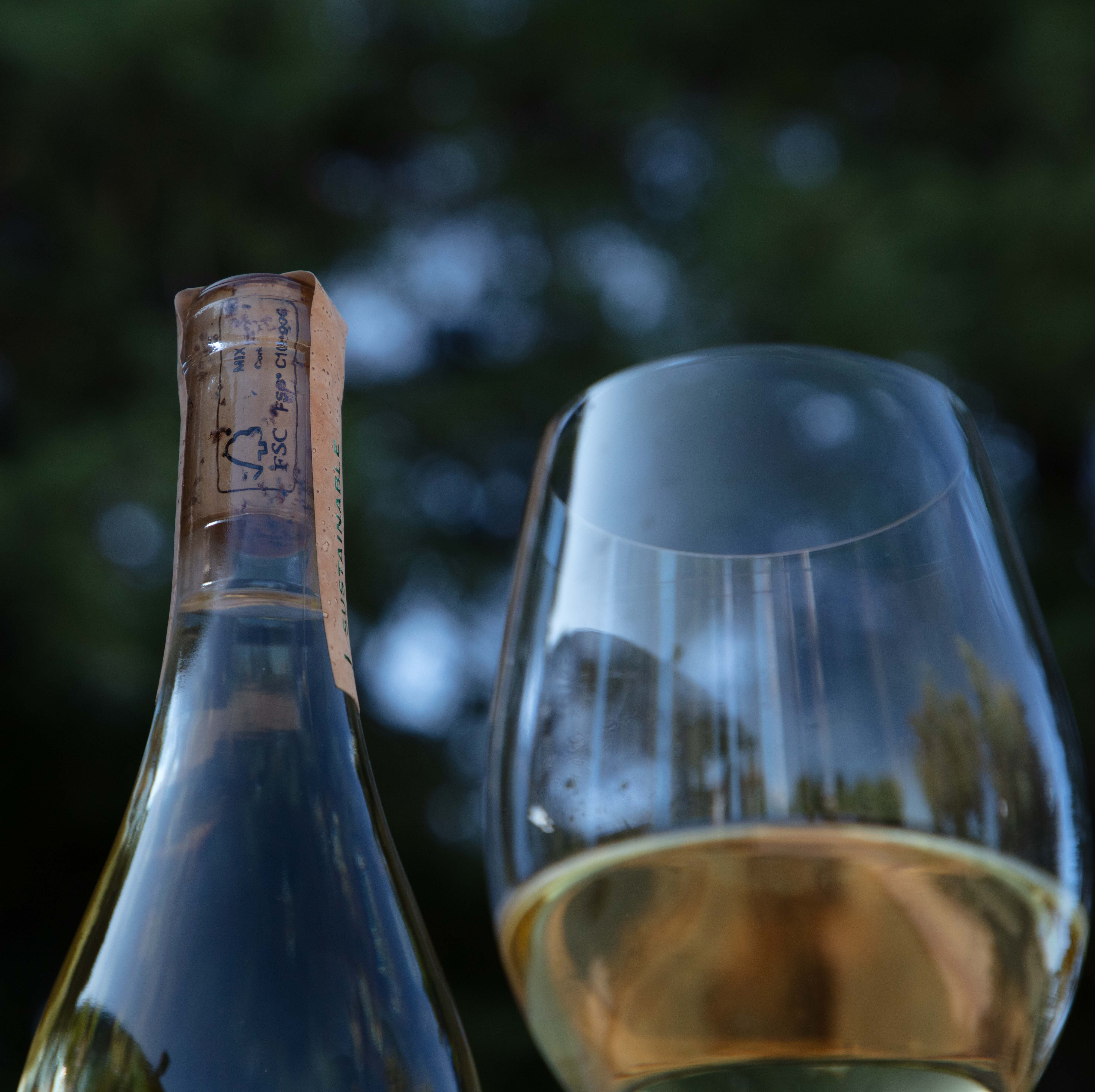 FSC Launches the FSC Brand Hub | fsc.org