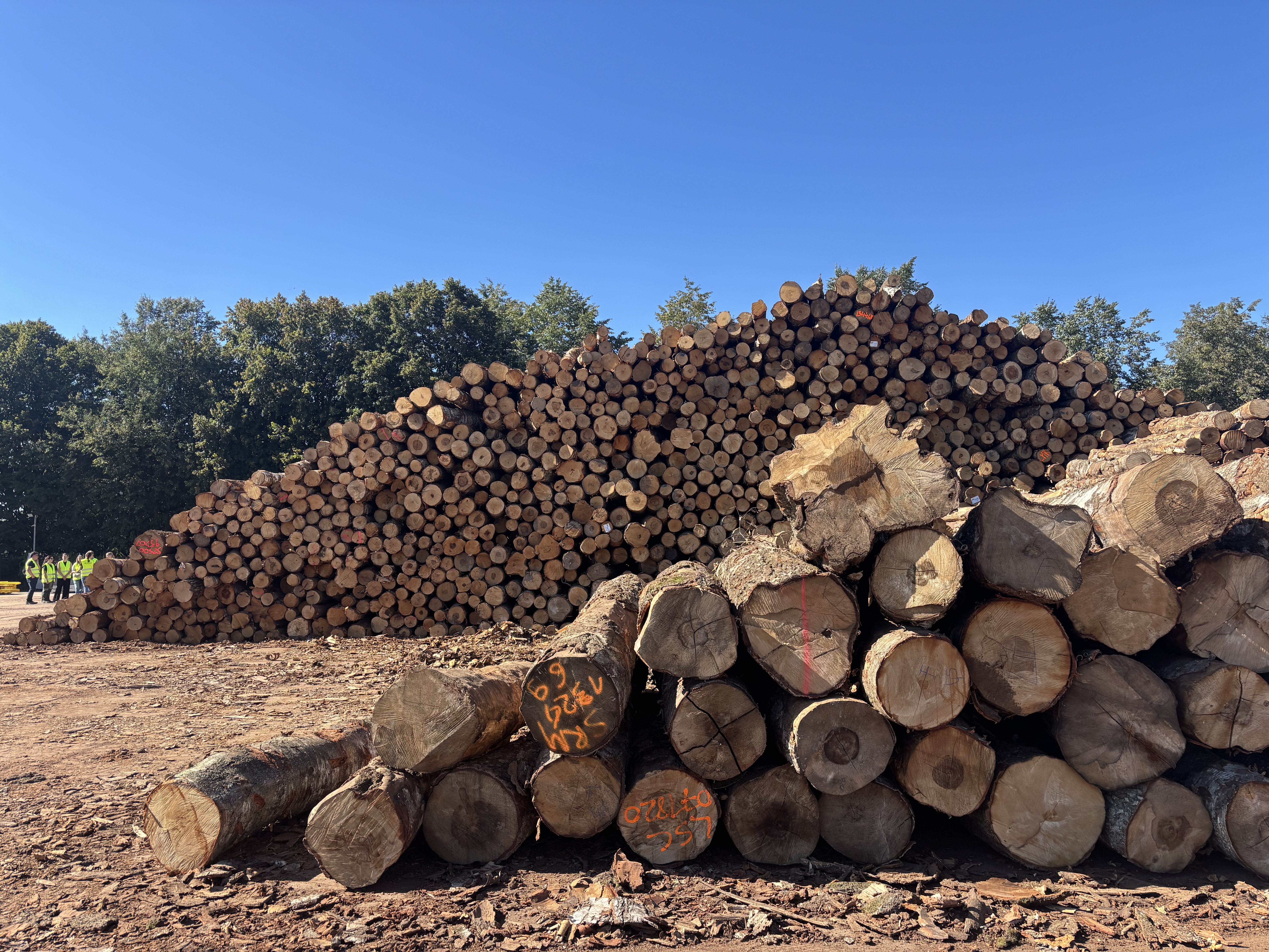 Consultation open: Revision of FSC’s Chain of Custody standards | fsc.org