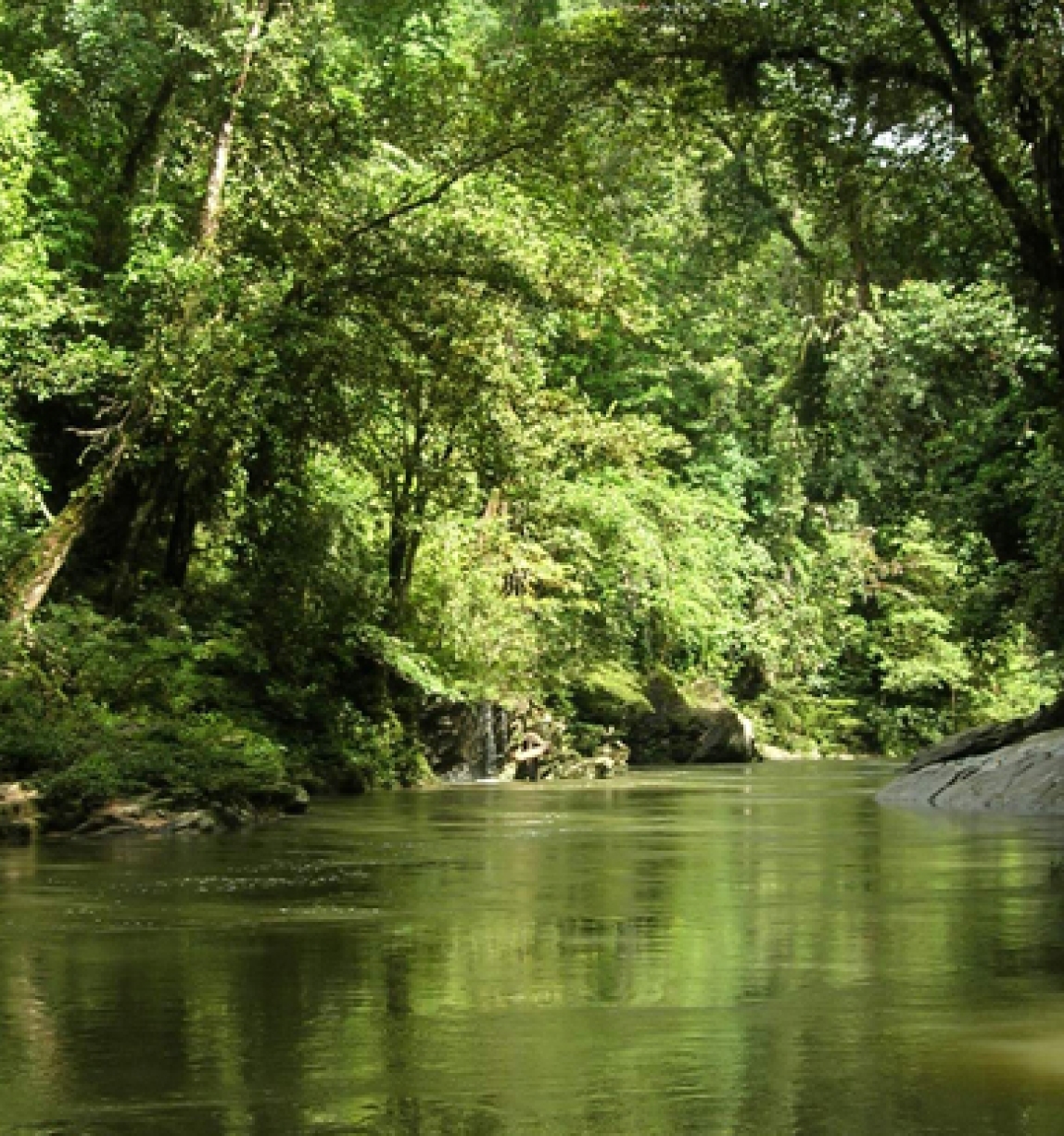 Conceptual consultation launch on Ecosystem Services Procedure (second ...