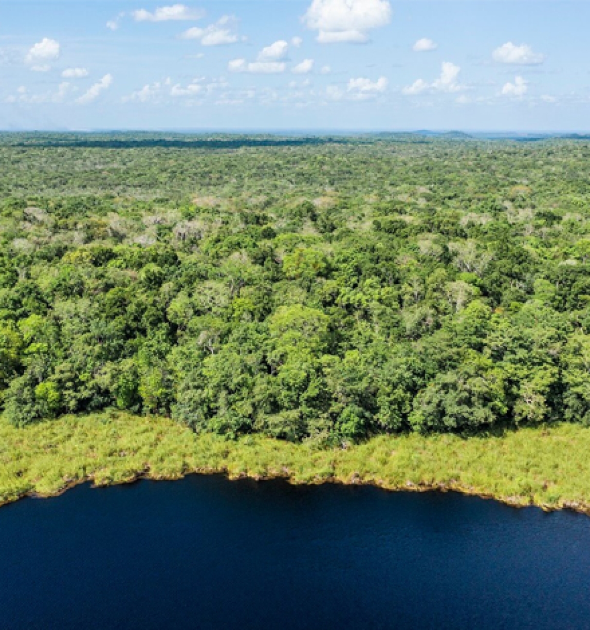 Small-scale, Low Intensity and Community Forests | fsc.org