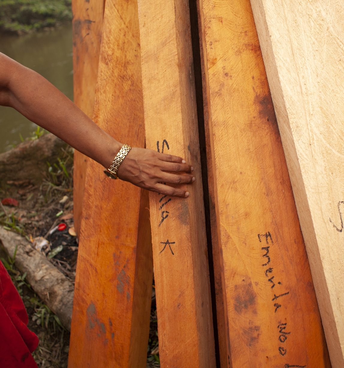 FSC Solutions | Forest Stewardship Council