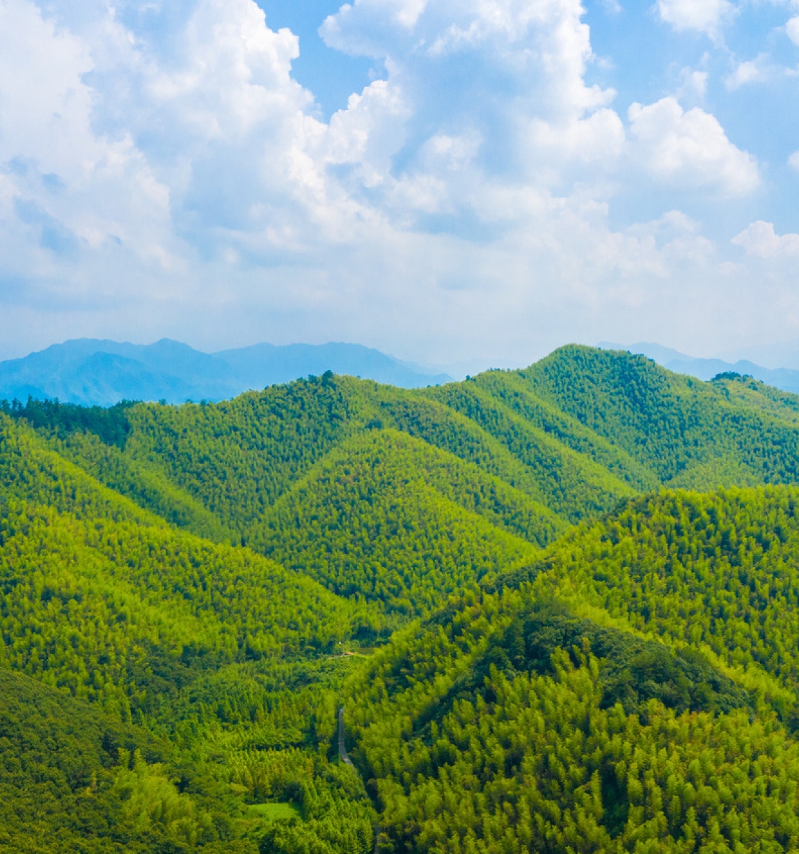 FSC takes action against a producer of repeated false claims | fsc.org