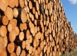 FSC Standards | Forest Stewardship Council